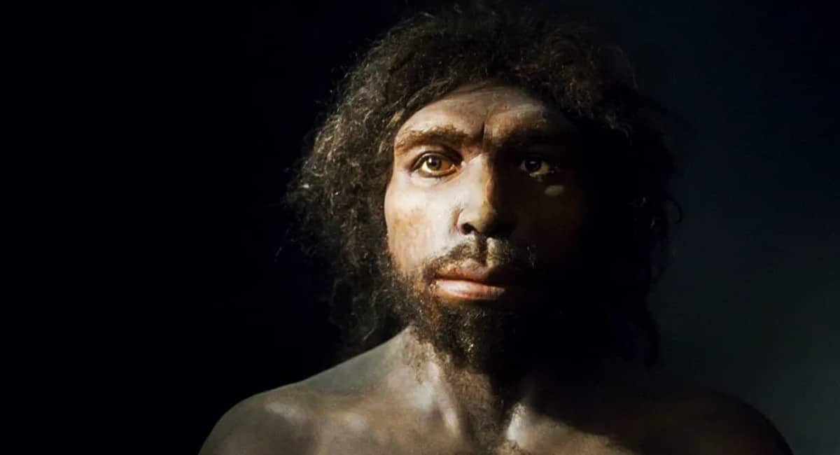Humanidade sofreu uma quase extinção há 900 mil anos